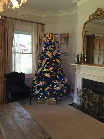 Client Gallery – Designer Christmas