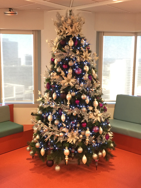 Client Gallery – Designer Christmas